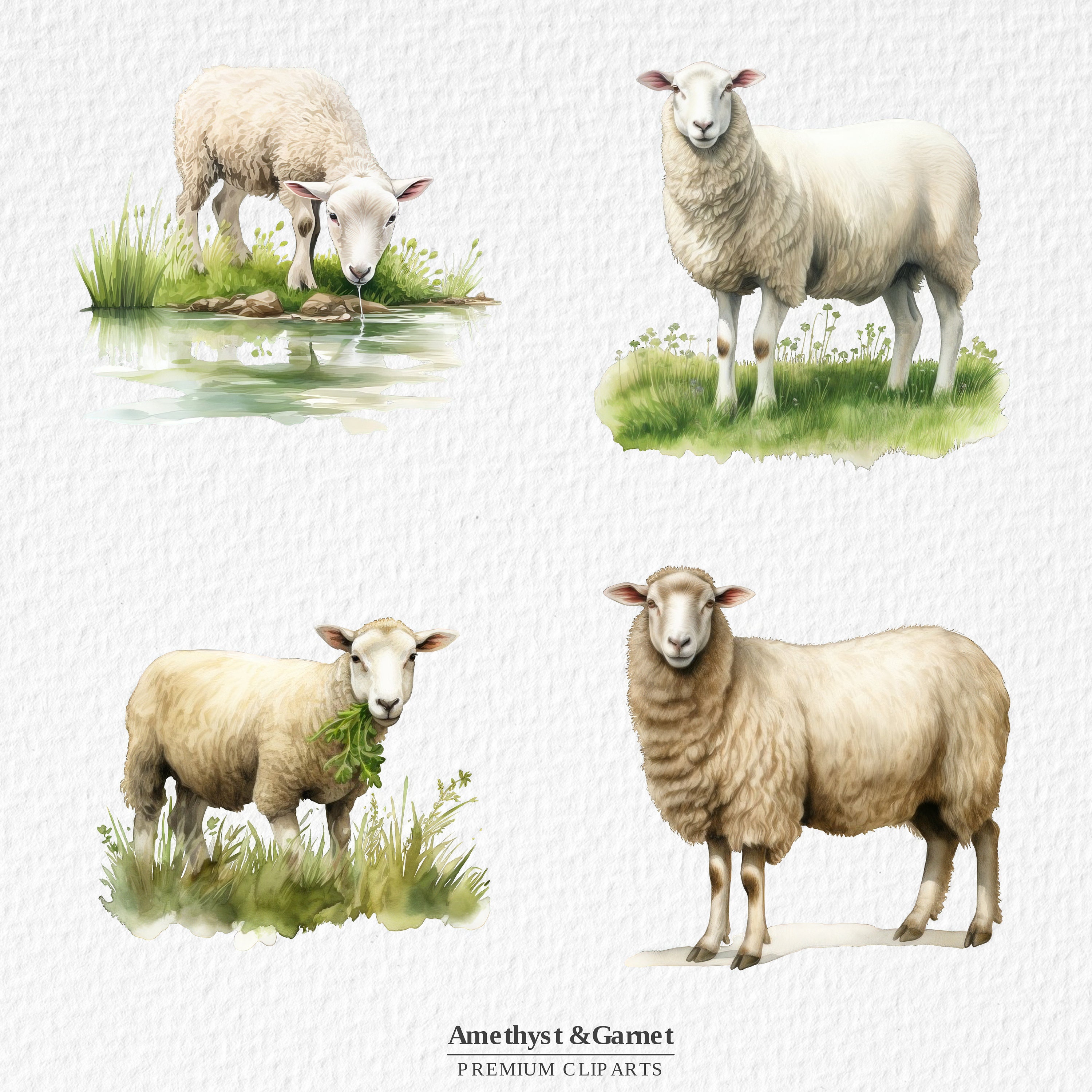 11 Watercolor Sheep Clipart, Printable Watercolor Clipart, High Quality ...
