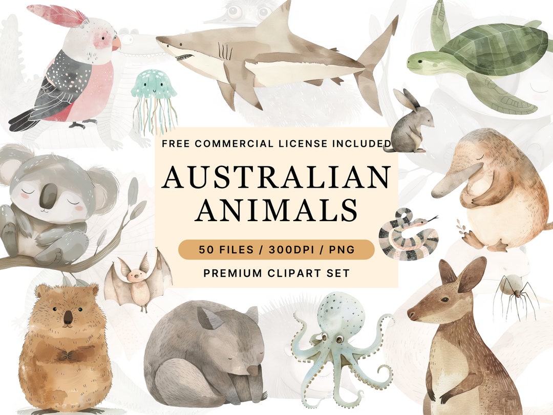 Australian Animals Clipart, Koala Clipart, Aussie Animals, Baby Shower ...