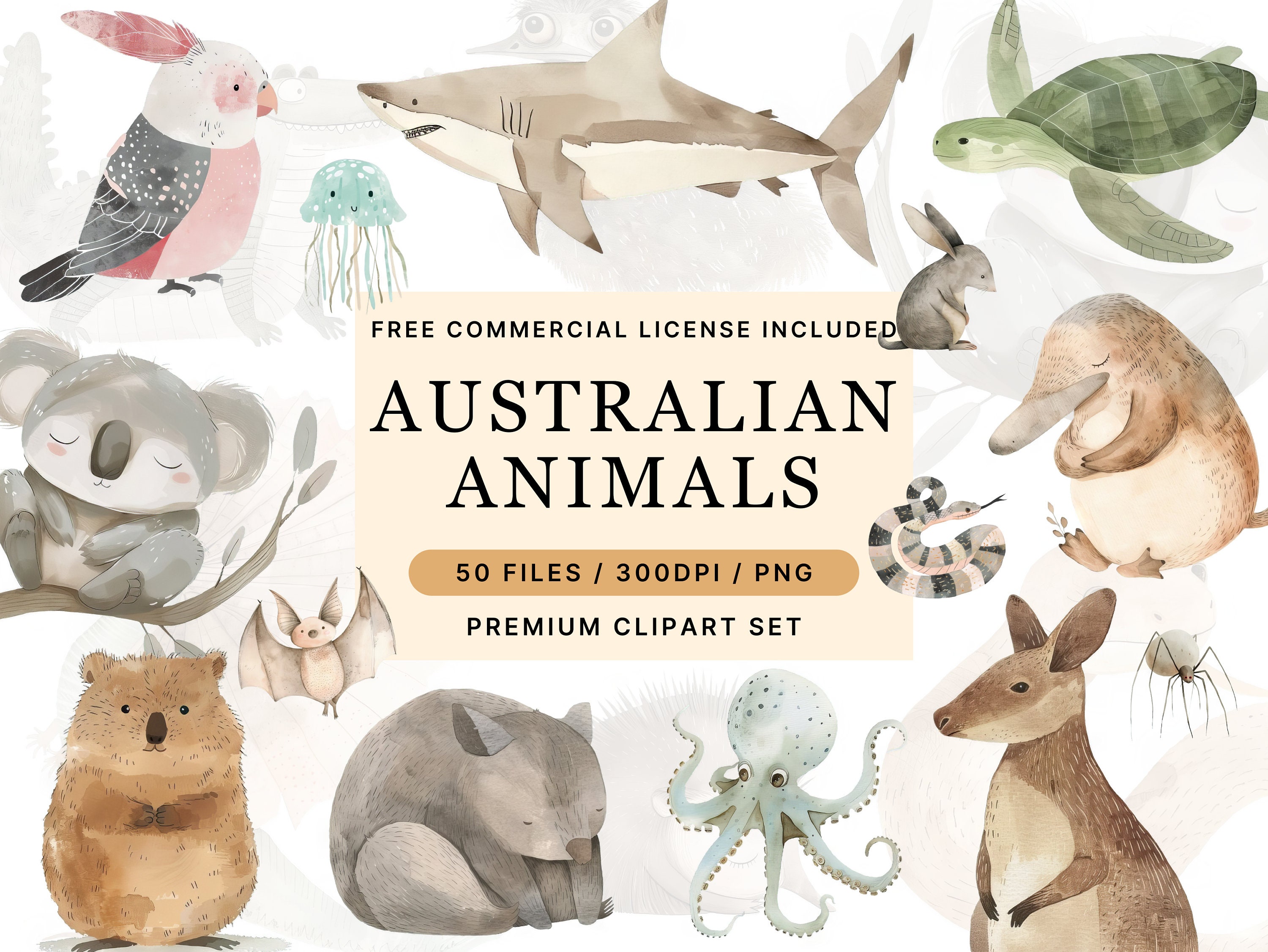 Australian Animals Clipart, Koala Clipart, Aussie Animals, Baby Shower ...