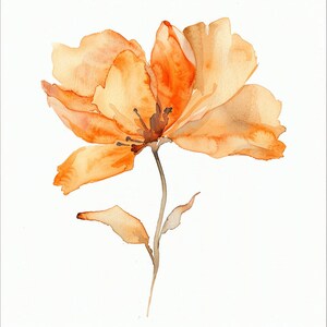 12 Orange Flowers Clipart, Orange Floral Print, Printable Watercolor ...