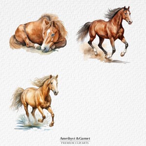 11 Watercolor Horse Clipart Bundle, Farm Animal Clipart, Nursery Wall ...