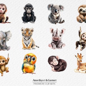 Cute Jungle Animals Clipart, Safari Baby Animal PNG, Watercolor Animal ...