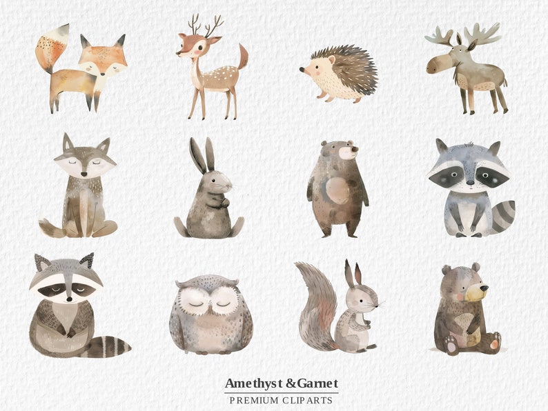 Boho Woodland Animals Clipart, Safari Animals Clipart, Bear, Fox ...
