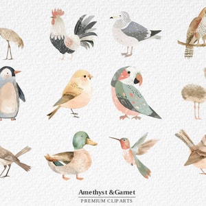 Beautiful Watercolor Bird Clipart PNG Bundle Transparent Background ...