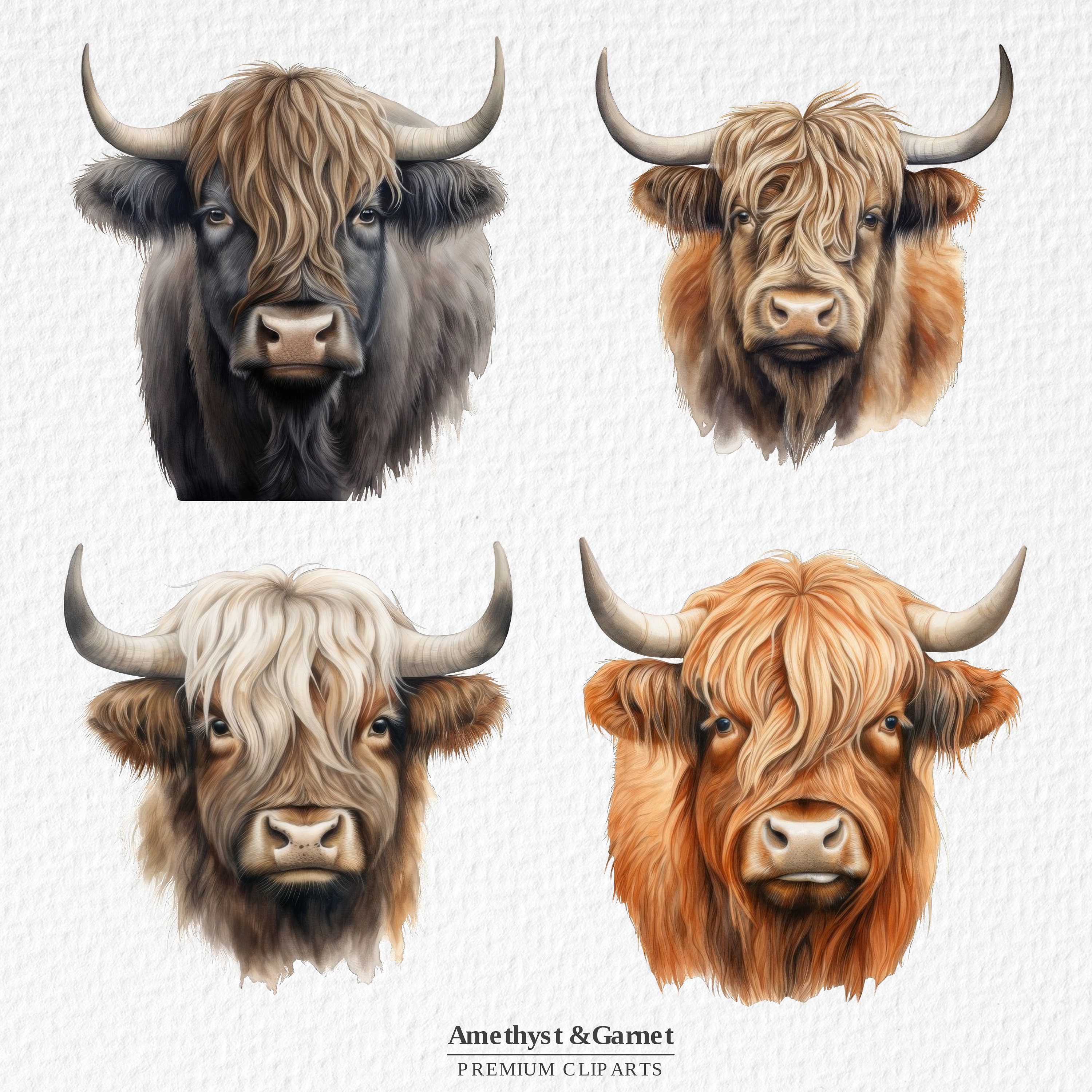 12 Yak Clipart Bundle Transparent PNG Collection, Digital Prints ...