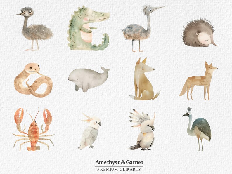 Australian Animals Clipart, Koala Clipart, Aussie Animals, Baby Shower ...
