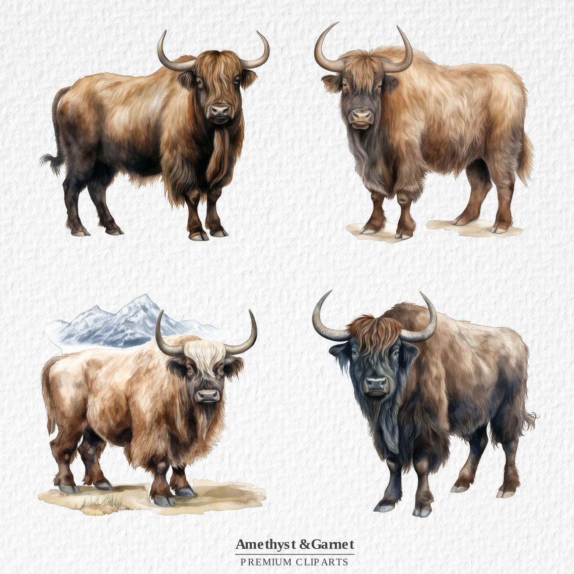 12 Yak Clipart Bundle Transparent PNG Collection, Digital Prints ...
