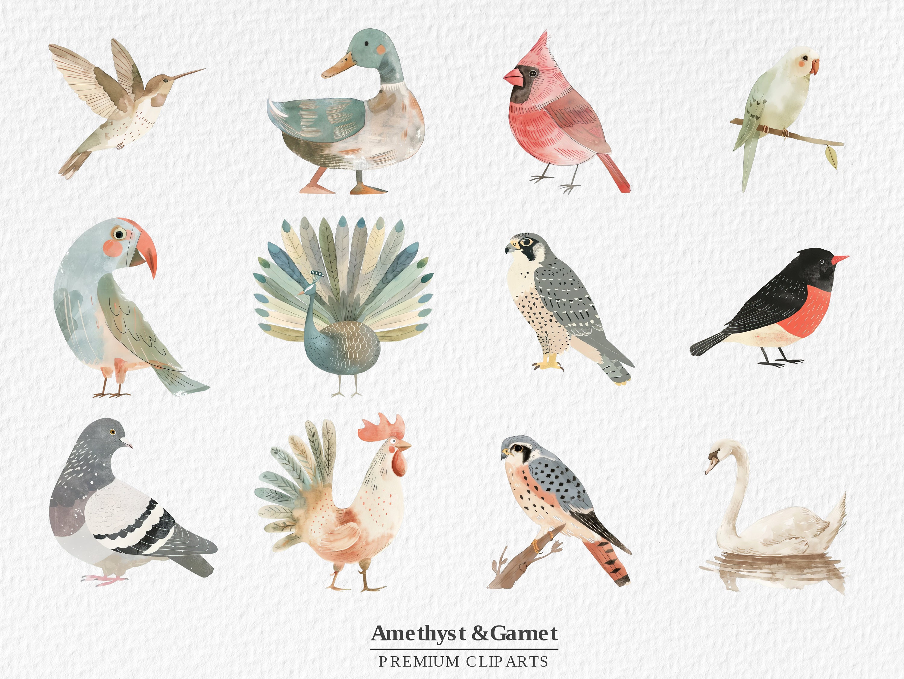 Beautiful Watercolor Bird Clipart PNG Bundle Transparent Background ...