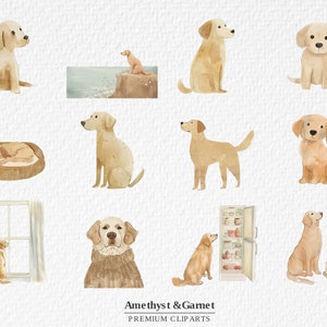 Watercolor Golden Retriever Puppies Clipart, Golden Retriever PNG, Cute ...