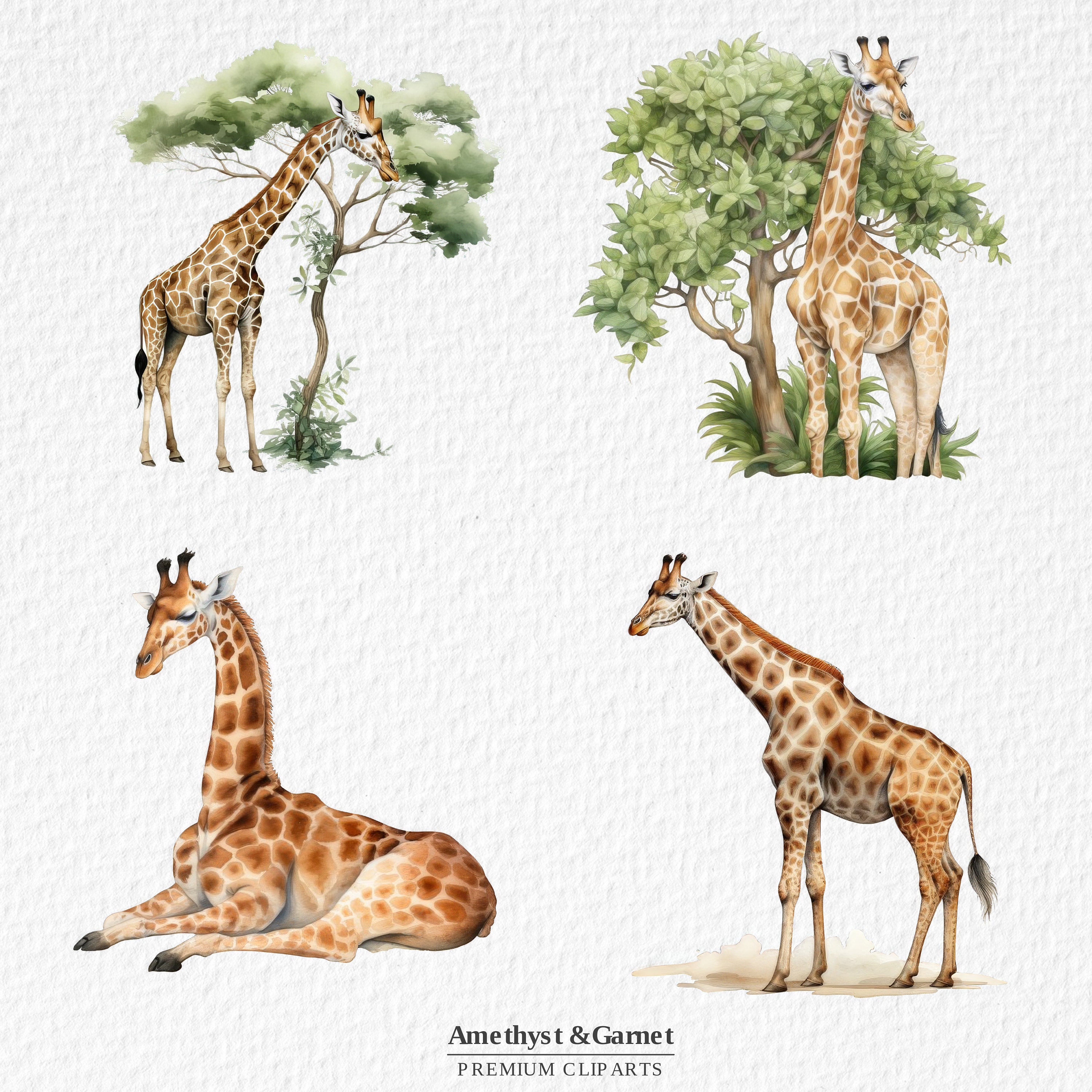 10 Watercolor Giraffe Clipart, Animal Clipart, Safari Nursery Decor ...