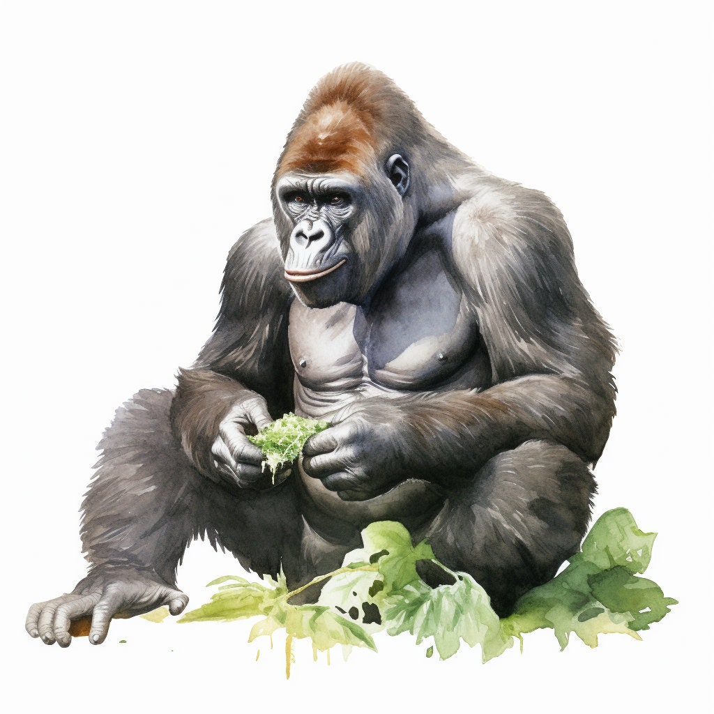 12 Gorilla Clipart, Gorilla Clip Art, Printable Watercolor Clipart, 12 ...