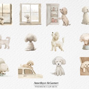 Watercolor Poodles Clipart, Cute Dog, Puppy, Animal, Dog Breed, Dog ...