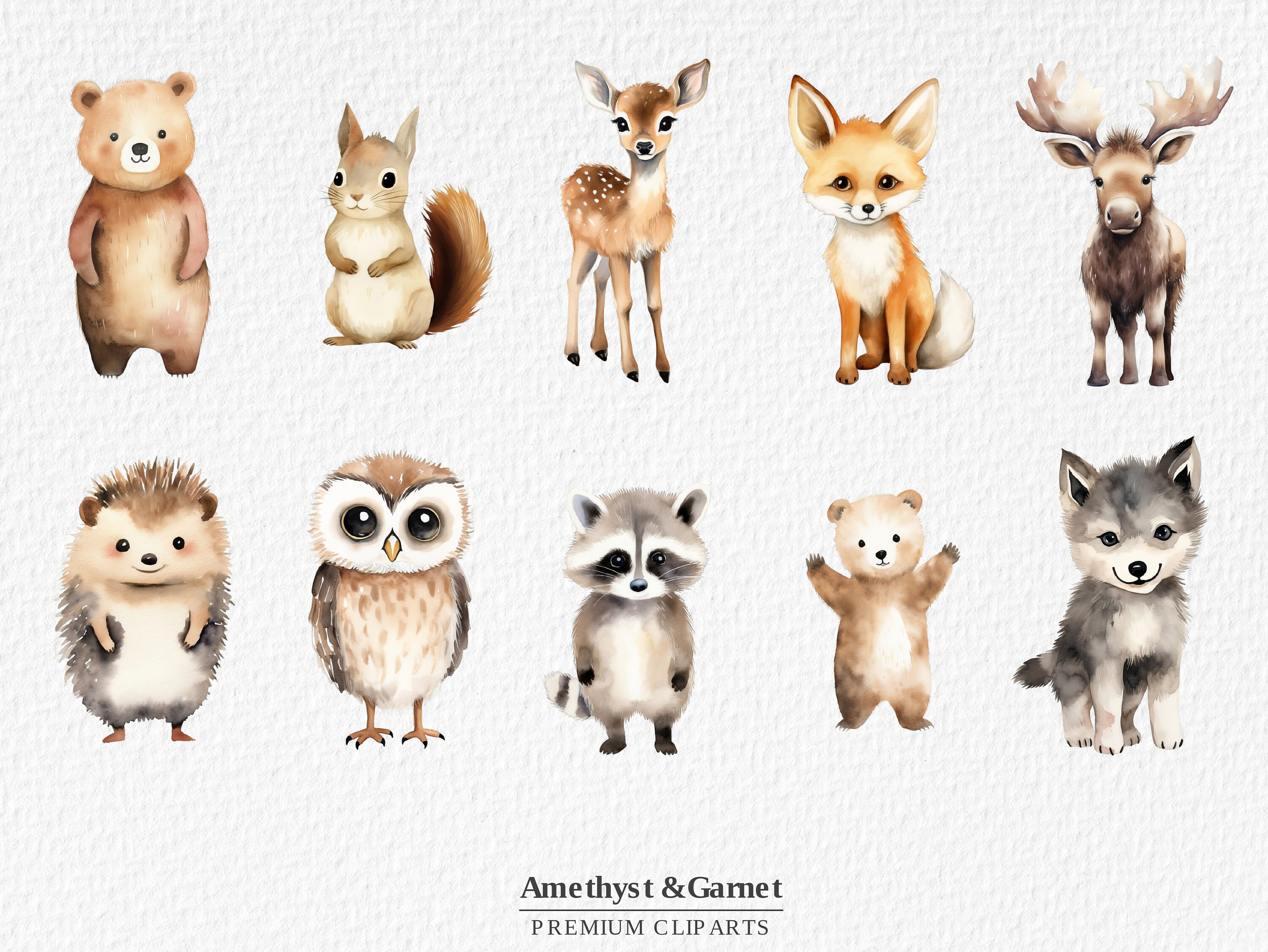Delightful Woodland Clipart Cute Woodland Animals Clipart, Baby Animals ...