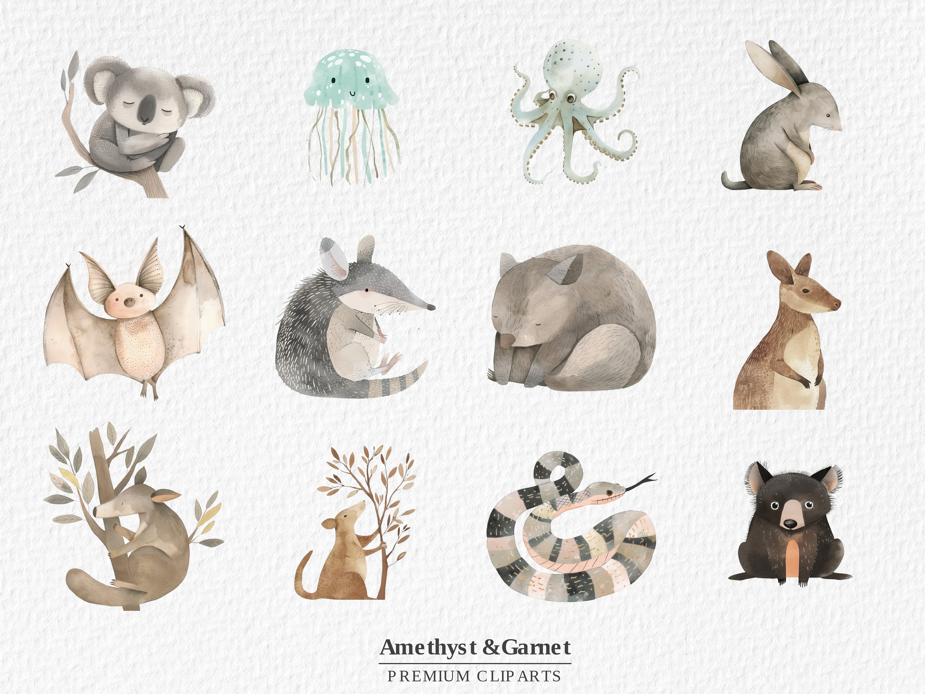 Australian Animals Clipart, Koala Clipart, Aussie Animals, Baby Shower ...