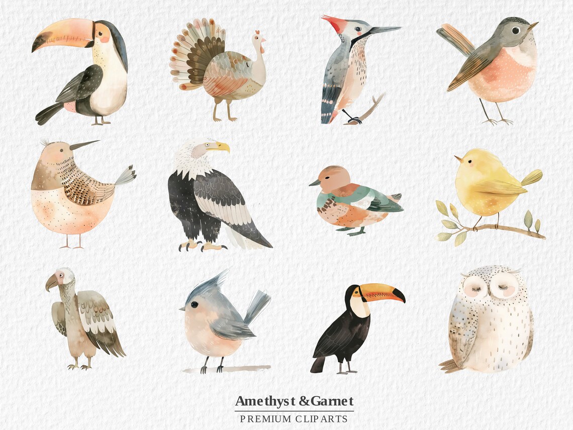 Beautiful Watercolor Bird Clipart PNG Bundle Transparent Background ...