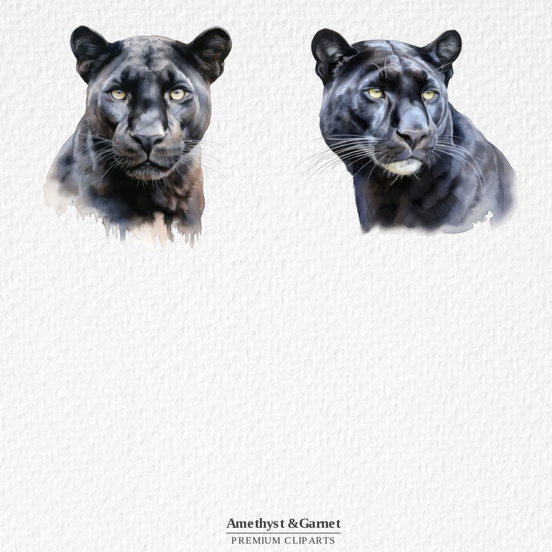 14 Imágenes prediseñadas de perfil de Puma negro, Puma de acuarela ...