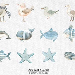 Nautical Cute Sailor Teddy Bear Clipart, Nautical Nursery Clipart ...