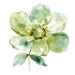 11 Green Flowers Clipart, Green Floral Print, Printable Watercolor ...