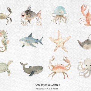 Undersea Watercolor Clipart Bundle - Nursery Decor, Baby Wall Art, Cute ...