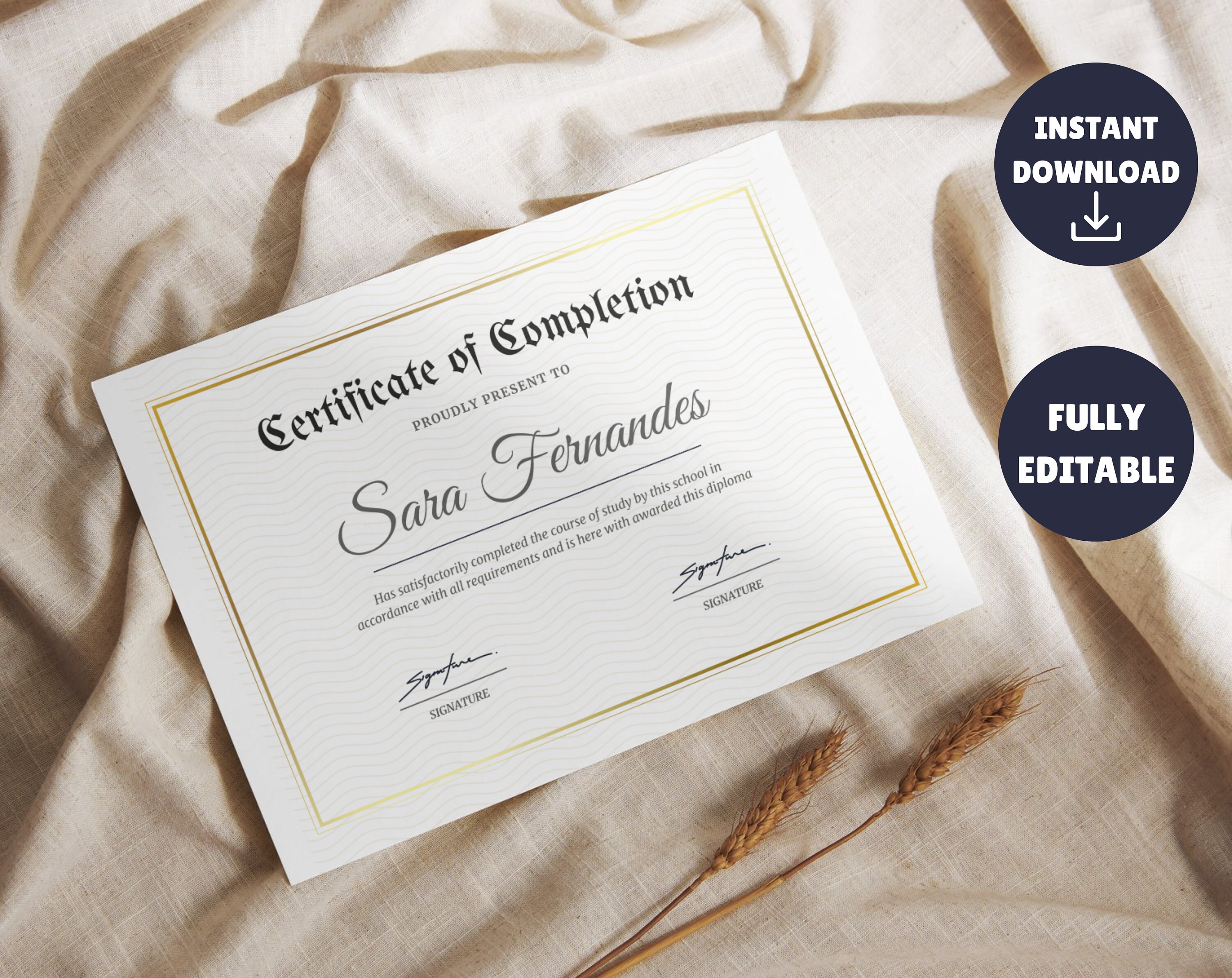 Editable School Certificate of Achievement Canva Template General ...