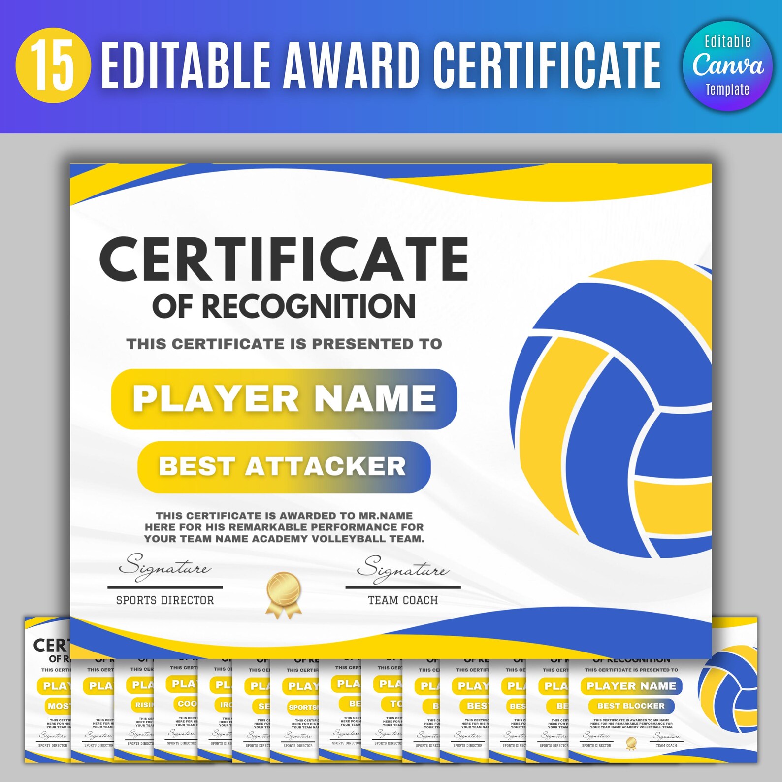 Volleyball Certificate Award End of Season/year Ceremony Editable Team ...