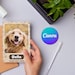 Custom Dog Trading Card Template, Editable Pet Card Canva Template ...