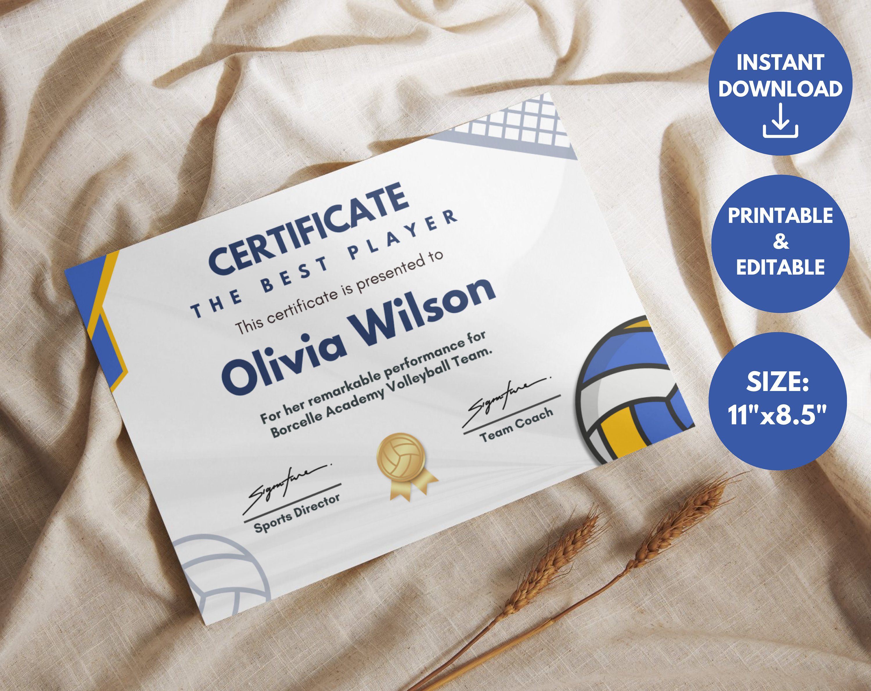 Editable Volleyball Certificate Award Template Printable Personalized ...