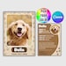 Custom Dog Trading Card Template, Editable Pet Card Canva Template ...