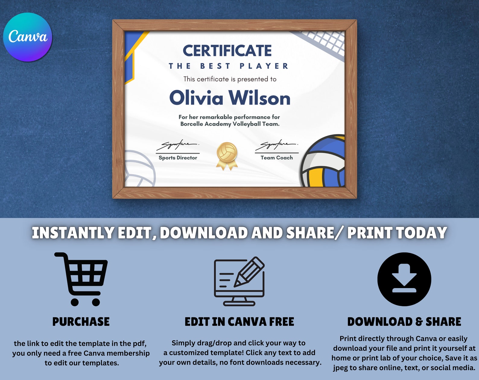 Editable Volleyball Certificate Award Template Printable Personalized ...