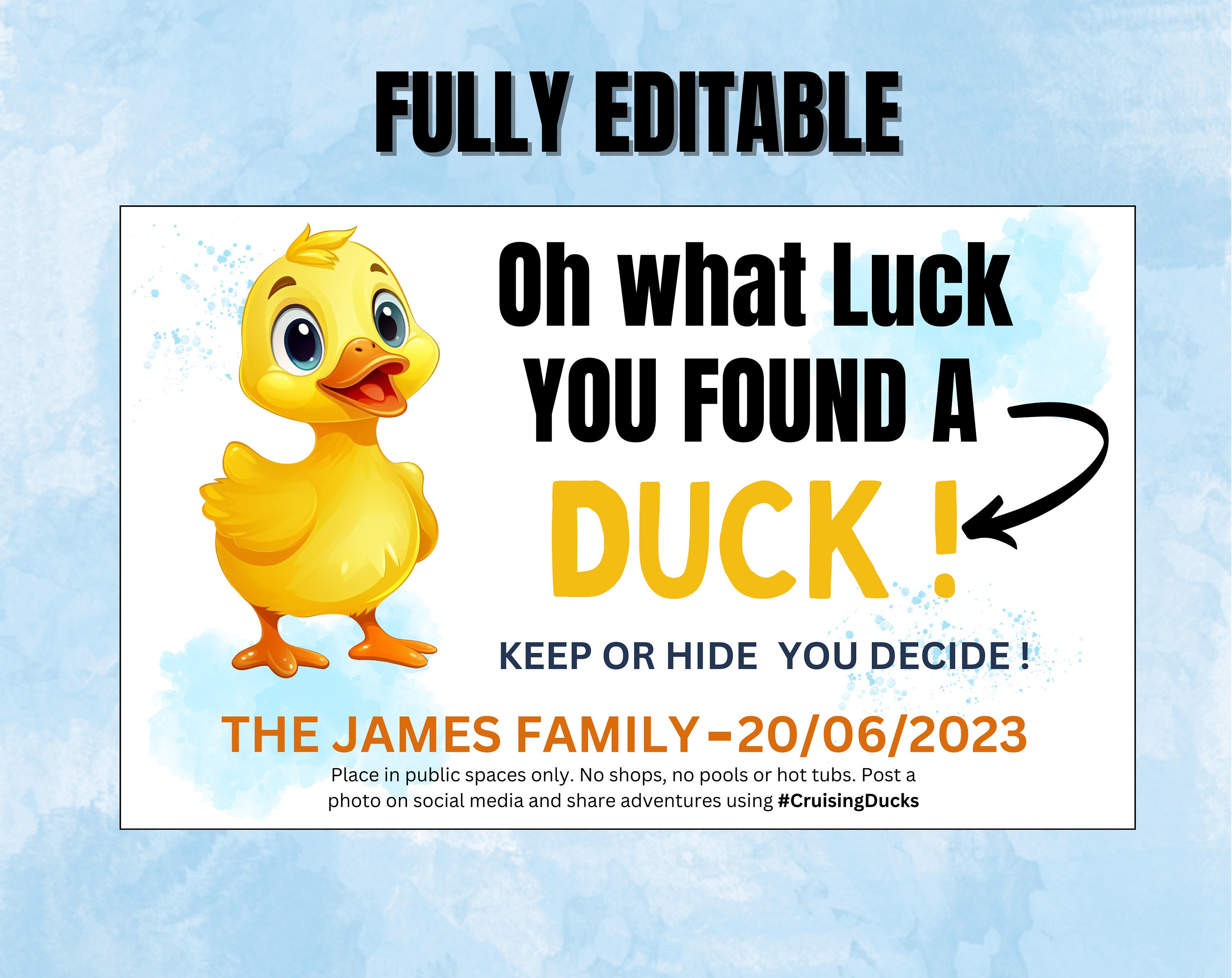 Editable Cruise Ship Duck Tags, Printable Tags for Cruising Ducks, DIY ...