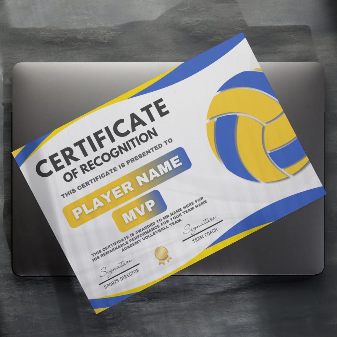 Volleyball Certificate Award End of Season/year Ceremony Editable Team ...