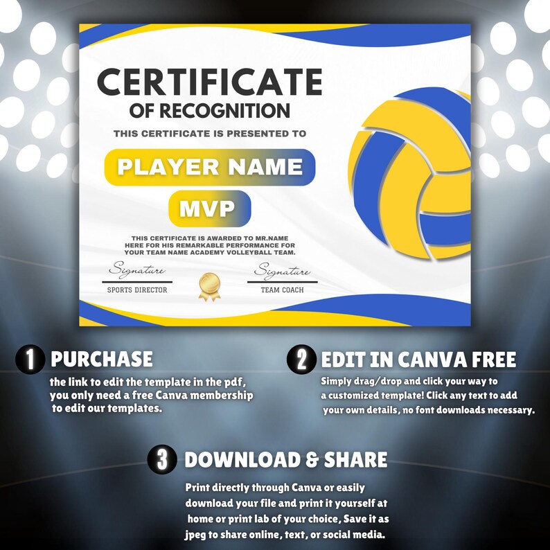 Volleyball Certificate Award End of Season/year Ceremony Editable Team ...