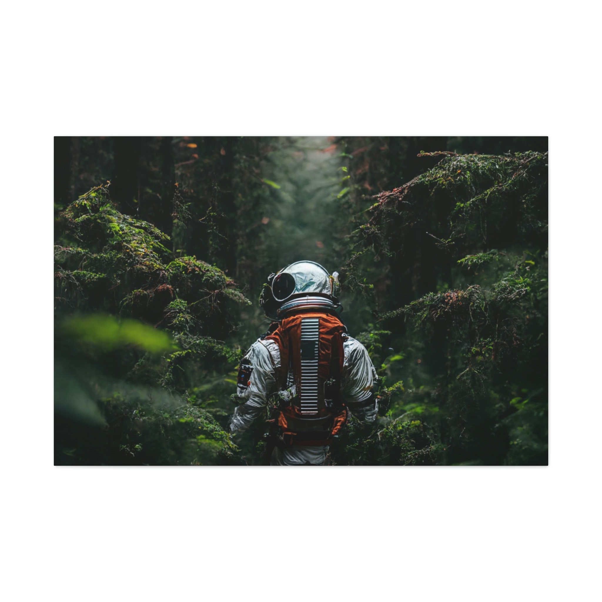 Star Explorer in the Wild - Vibrant Wall Art Print for Adventure Lovers ...