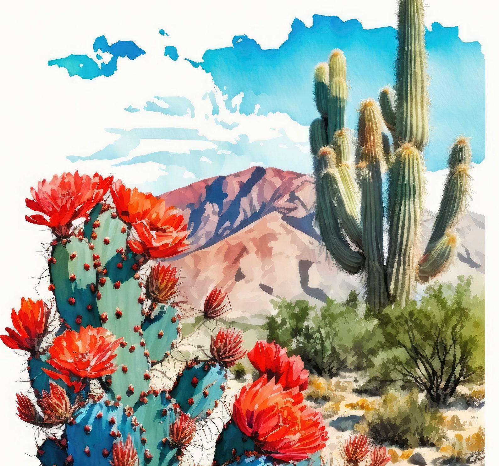 Arizona Prickly Pear Cactus Wall Art Print Desert Landscape - Etsy