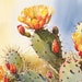 Flower Prickly Pear Cactus Print Watercolor Painting Botanical Desert ...
