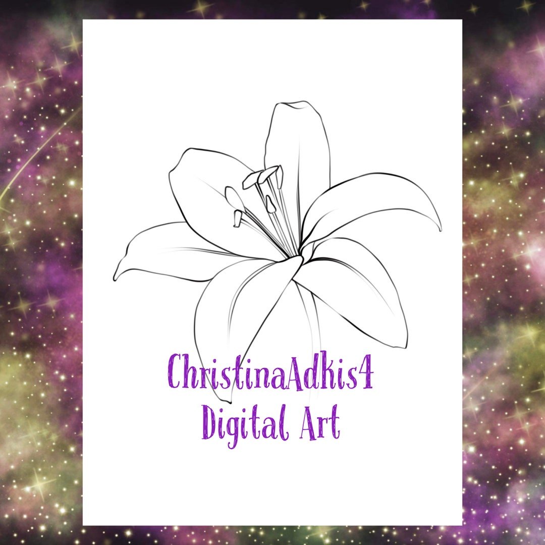 Set of Ten Simple Single Flower Line Drawing Coloring Pages - Etsy