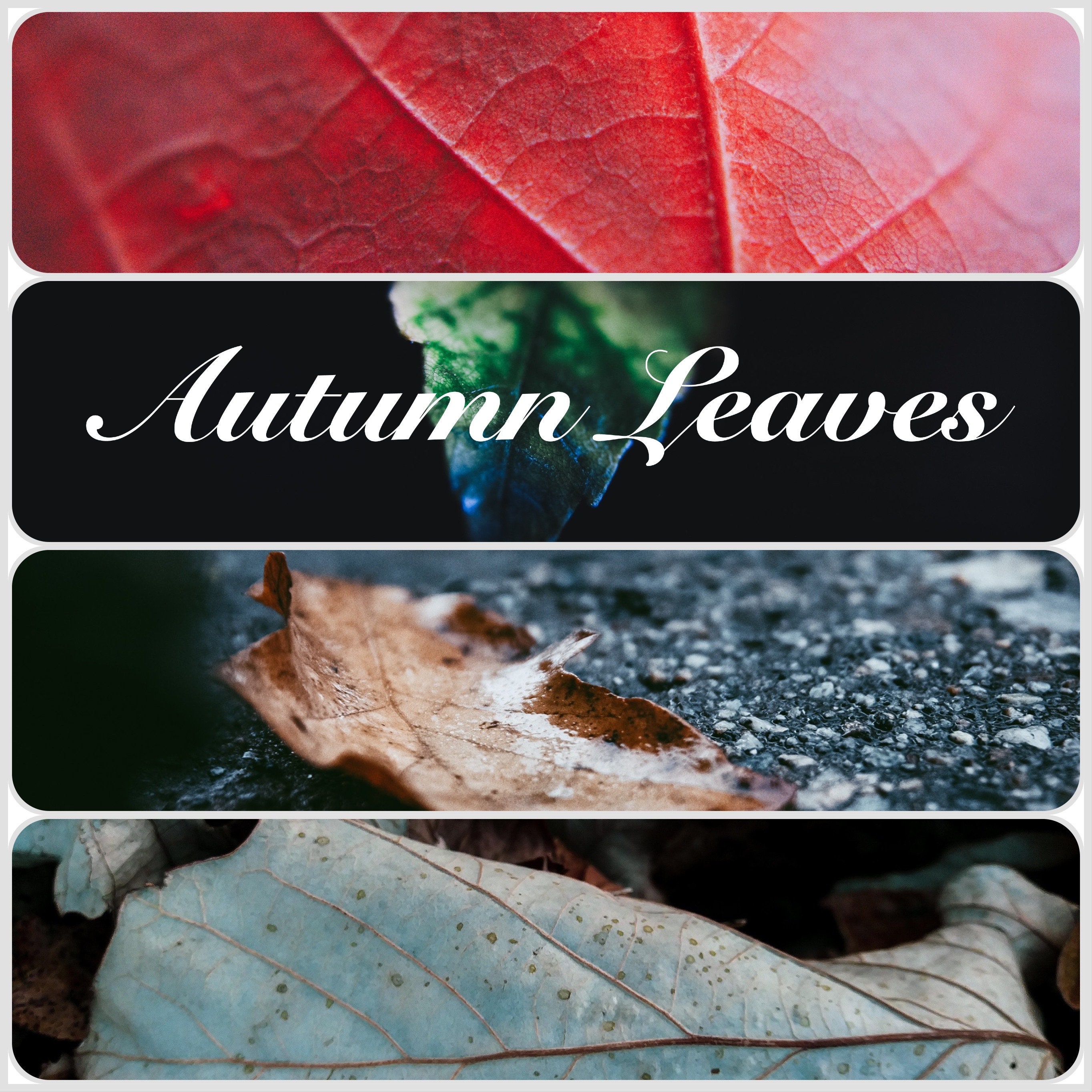 Autumn Leaves | Digital Download - Etsy
