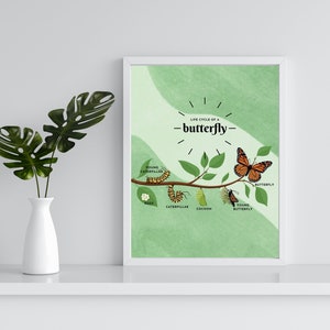Montessori Monarch Butterfly Life Cycle Poster, Big Wall Art 18in*24in ...