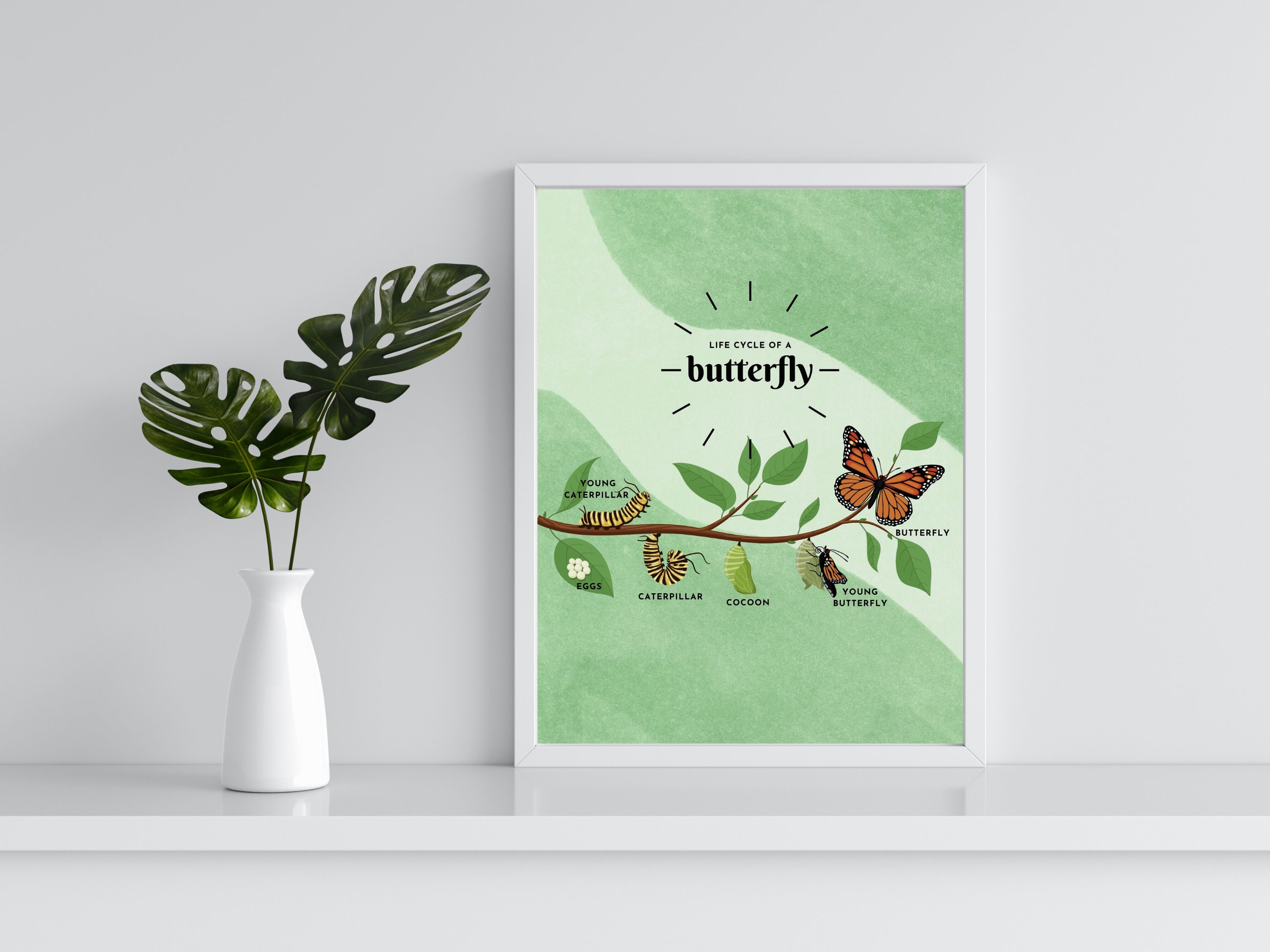 Montessori Monarch Butterfly Life Cycle Poster, Big Wall Art 18in*24in ...