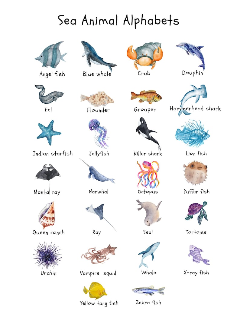 Sea Animals Alphabet Poster, Playroom Wall Decor, Ocean Animals ABC ...