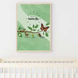 Montessori Monarch Butterfly Life Cycle Poster, Big Wall Art 18in*24in ...