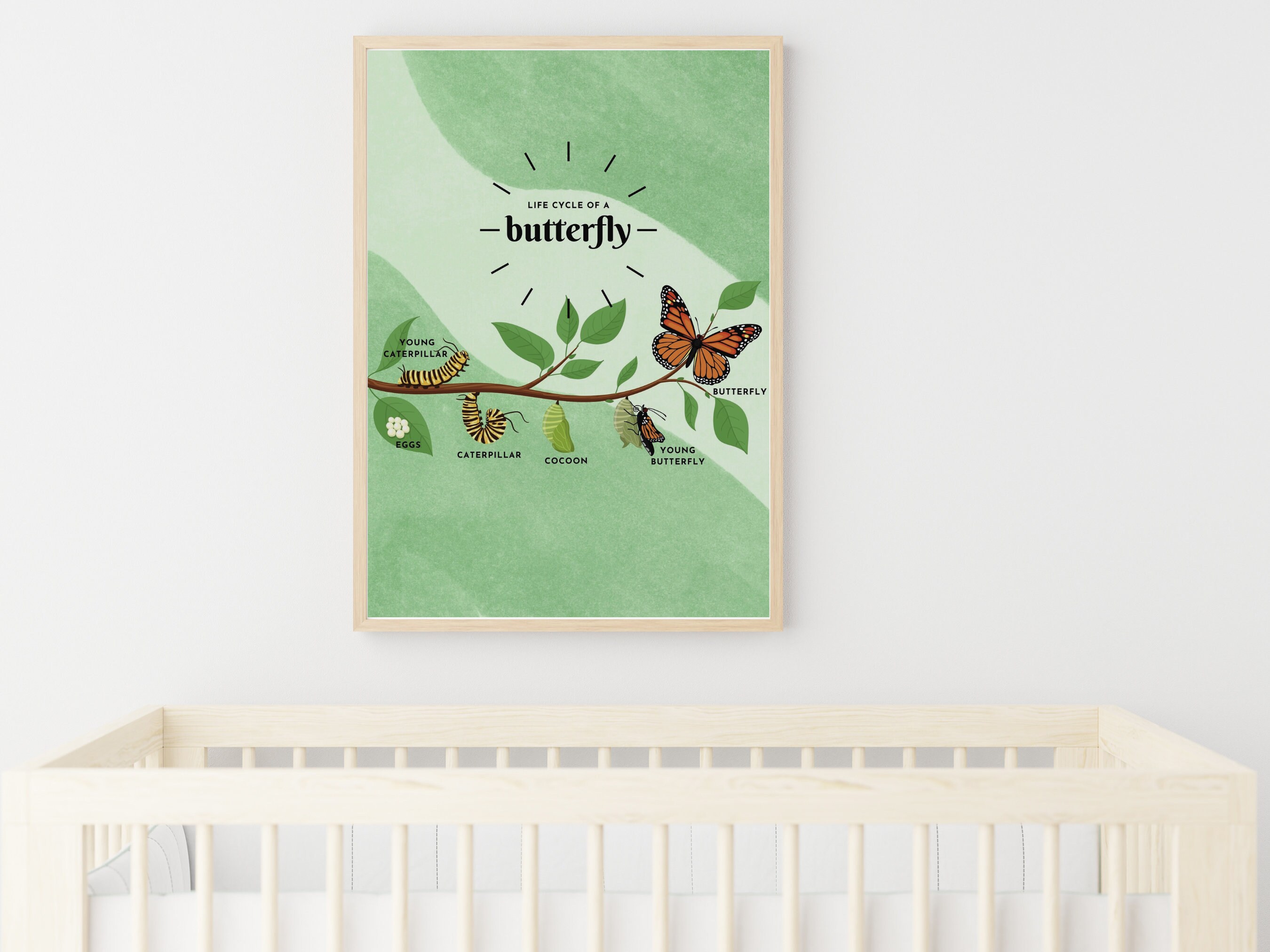 Montessori Monarch Butterfly Life Cycle Poster, Big Wall Art 18in*24in ...