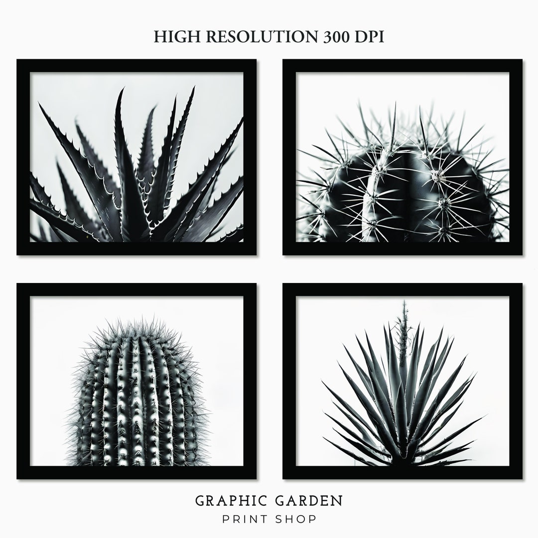 Set of 7 Succulent Wall Art Bundle Cactus Printable Black & White ...