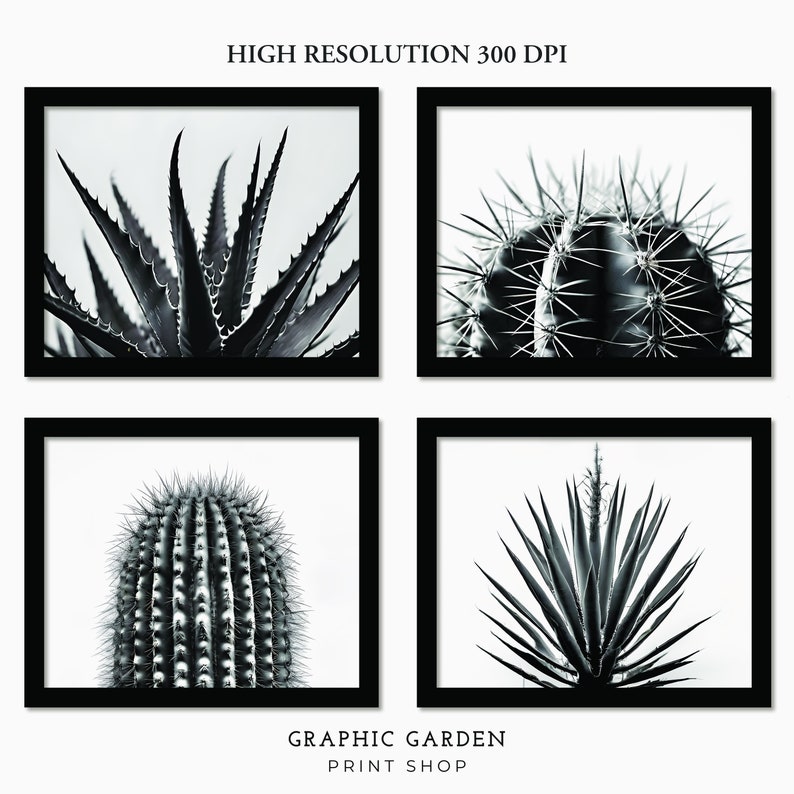 Set of 7 Succulent Wall Art Bundle Cactus Printable Black & White ...