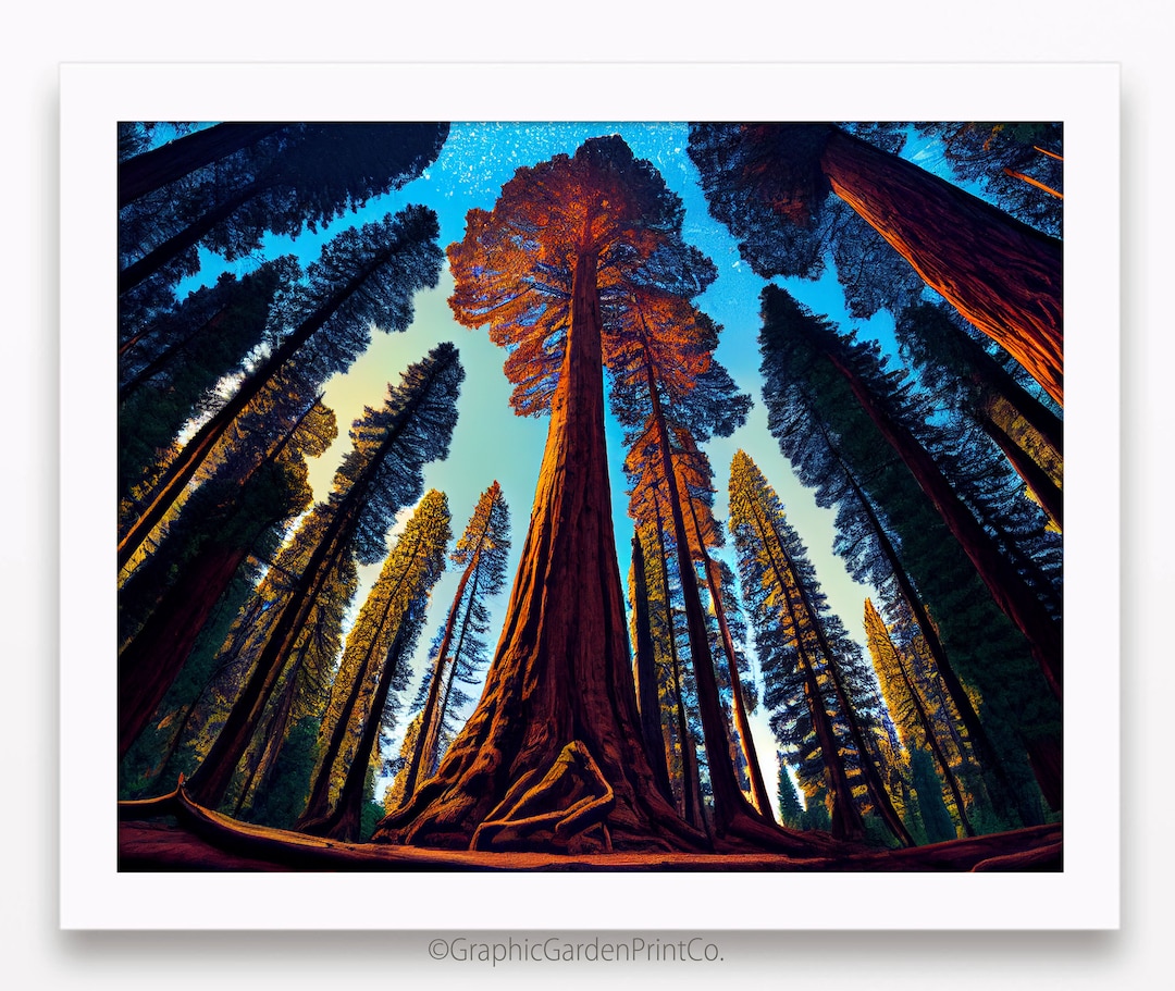 Sequoia National Park Wall Art, Sierra Nevada Horizontal Printable ...