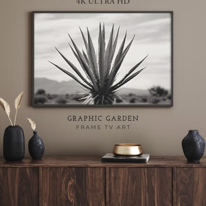 Set of 7 Succulent Wall Art Bundle Cactus Printable Black & White ...