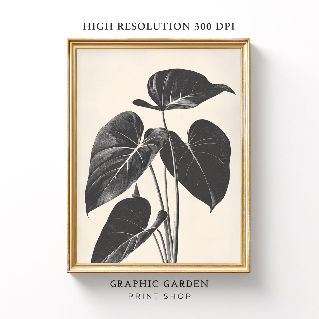 Line Art Philodendron Print, Botanical Drawing Wall Art, Black Sketch ...