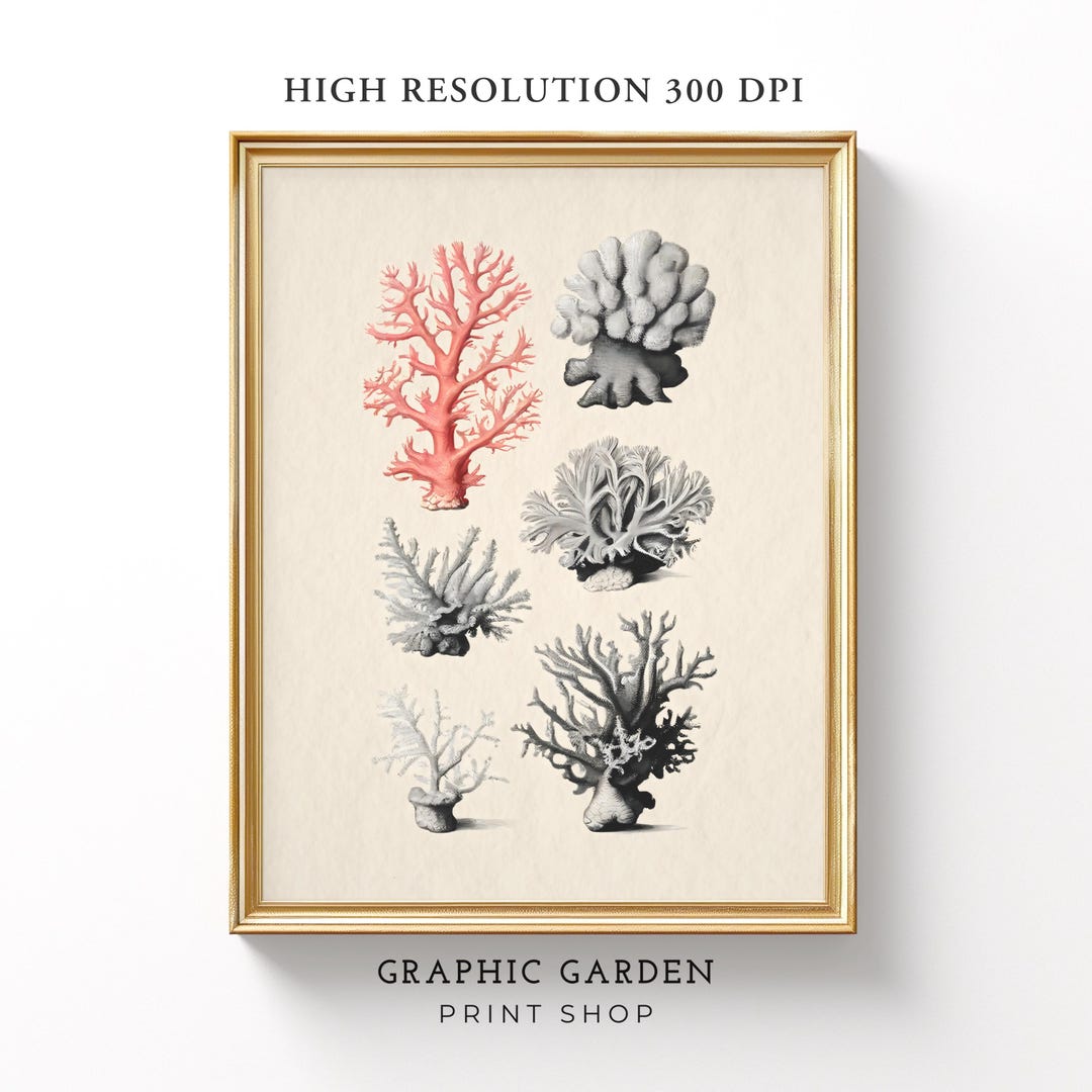 Line Art Coral Print, Coastal Drawing Wall Art, Vintage Sketch ...