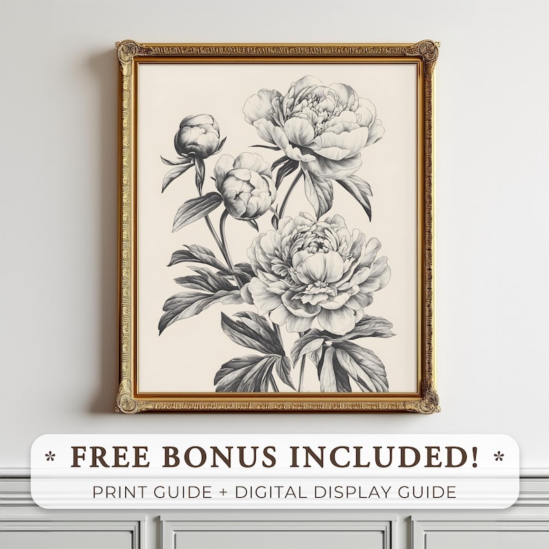 Line Art Peony Print, Botanical Drawing Wall Art, Black & White Sketch ...