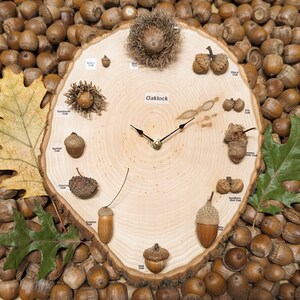 Oaklock Acorn Clock Natural Oak Trunk Wall Décor Wood Bark Live Edge - Etsy